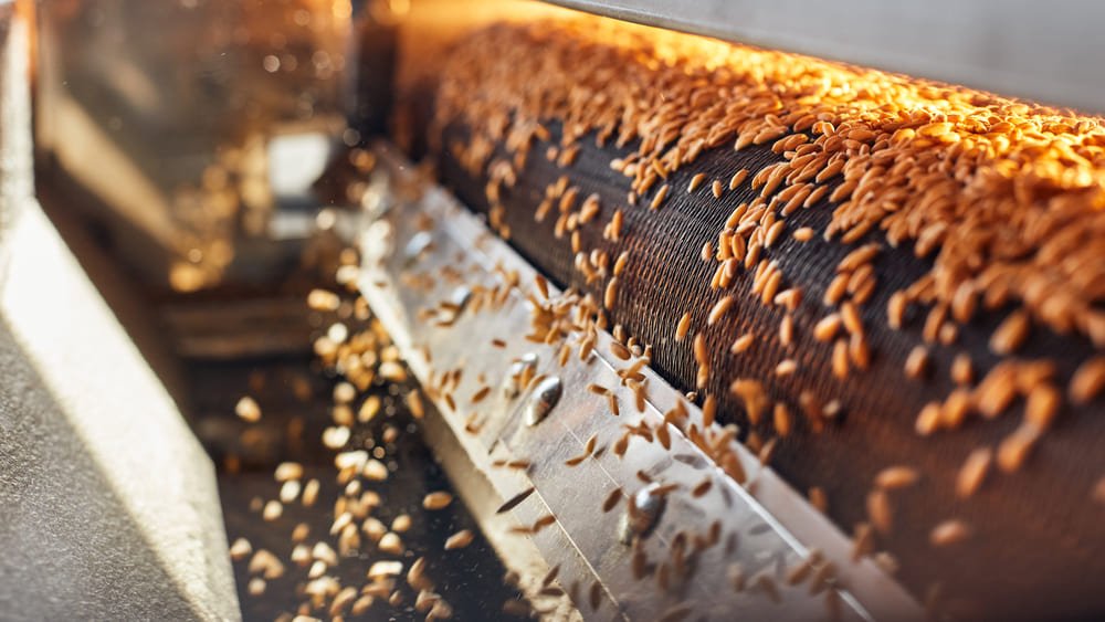 Step by Step Guide on How Does A Grain Dryer Work?