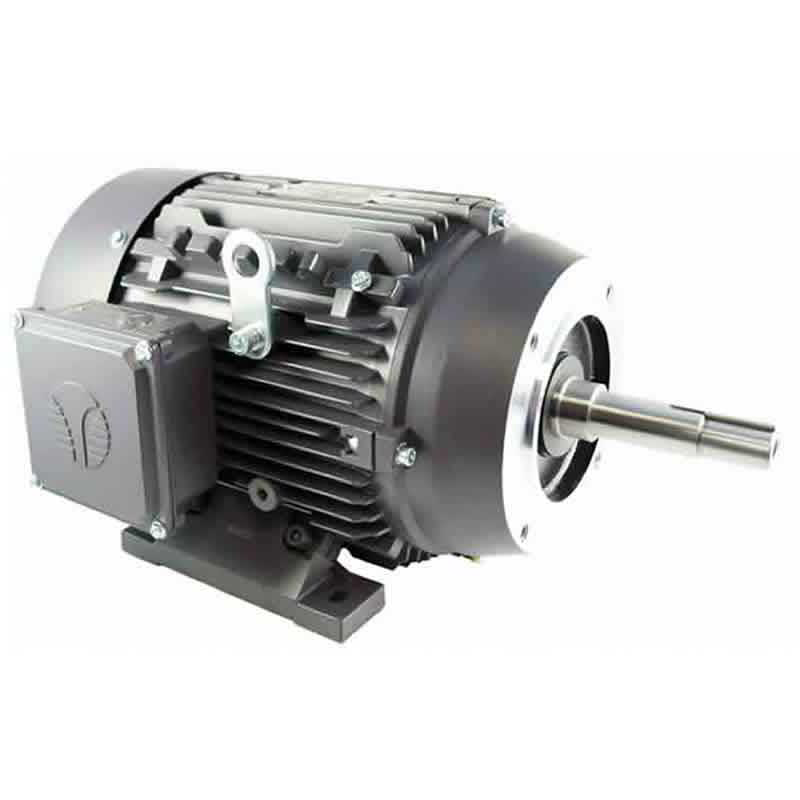 10 HP Washdown Motor - Frame: 215T - RPM: 1800 – Phoenix Phase Converters